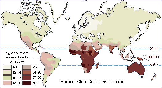 Por qué los humanos tenemos colores diferentes de piel. - Ciencia Histórica