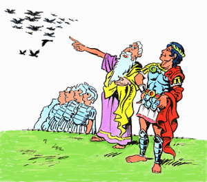 Guía para fundar una ciudad romana - Ciencia Histórica